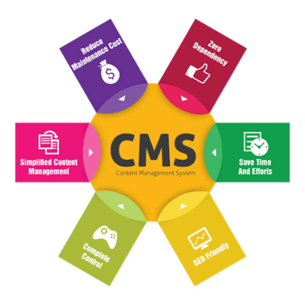 Top CMS Solutions for Businesses | Stand in Crowd Technologies